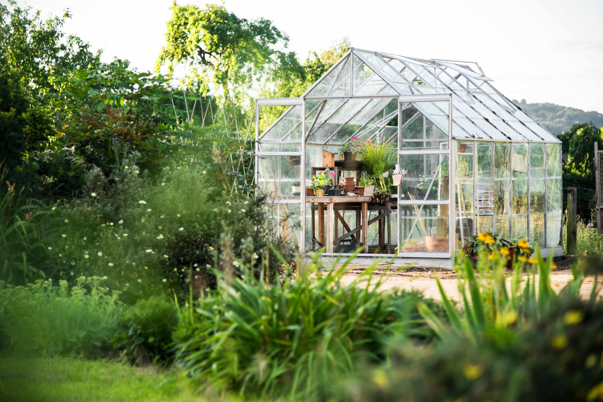 ¿Cómo influyen los microclimas en nuestros jardines?